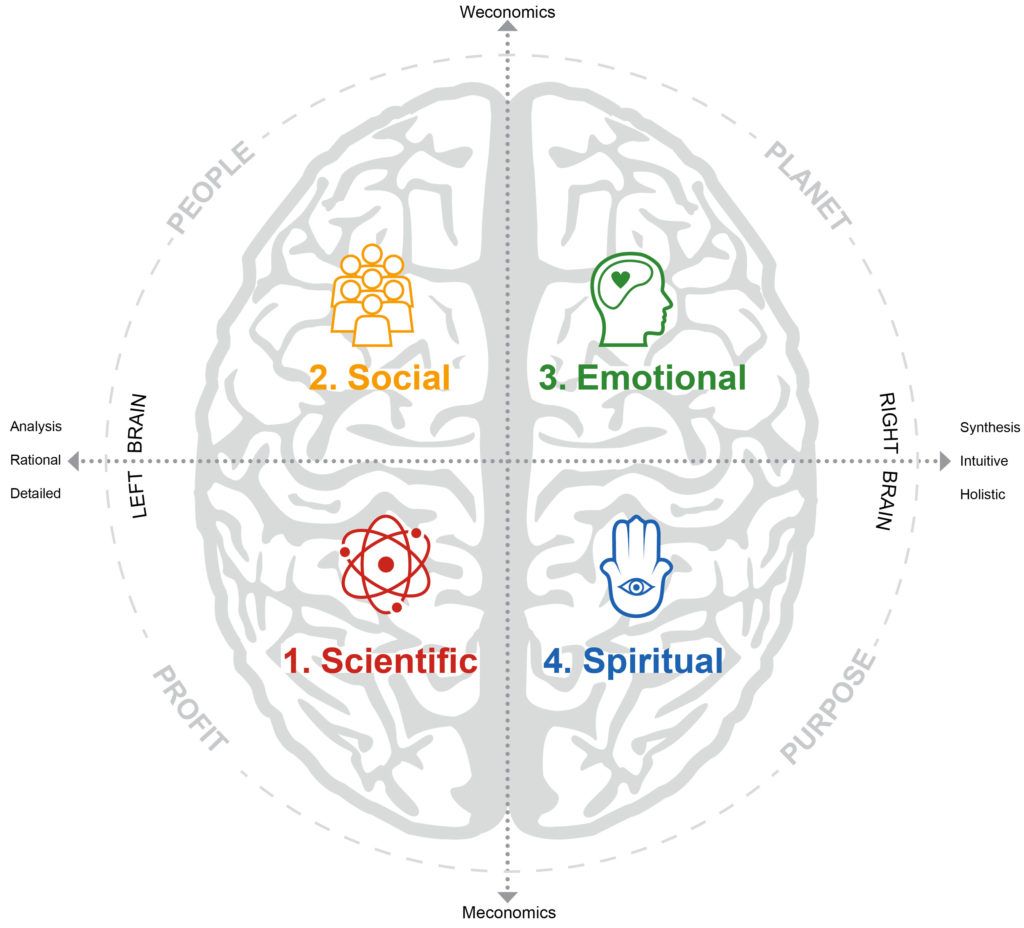 new wholebrain diagram - Kjaer Academy